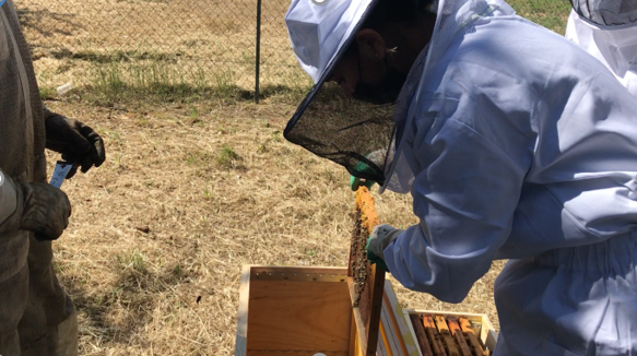les actualités de la MFR de Rousset